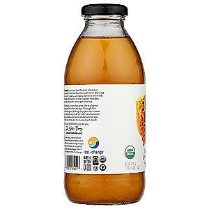 Eat The Change Just Ice Tea Organic Honey Green Tea, Kosher, 16 Fluid Ounces (Pack Of 12)
