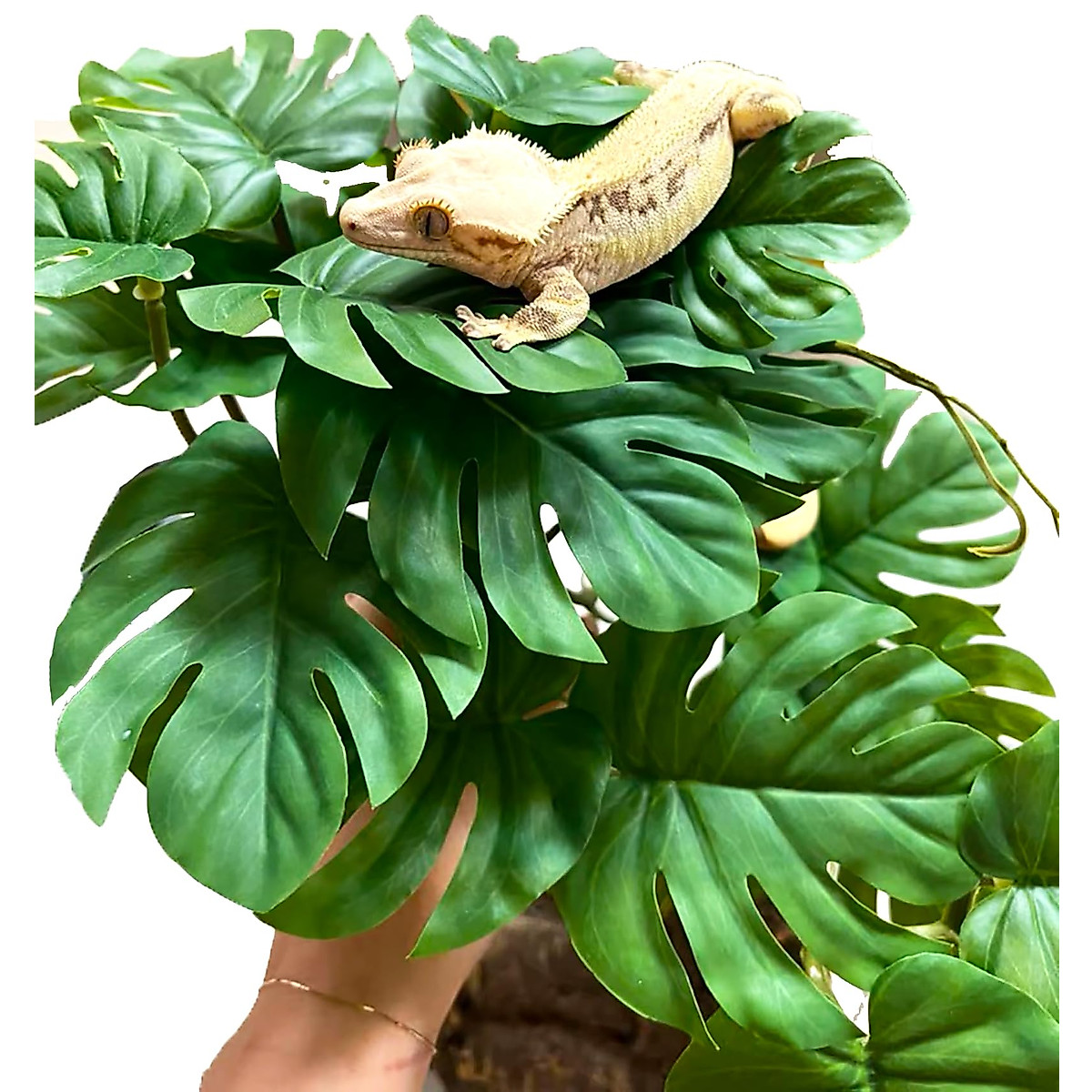 Woyrise Reptile Artificial Plants for Terrarium, Amphibian Habitat Decor Plant, Bearded Dragon Tank Decorations fit Gecko Lizard Chameleon Ball Python Snake Frog - Monstera Bush