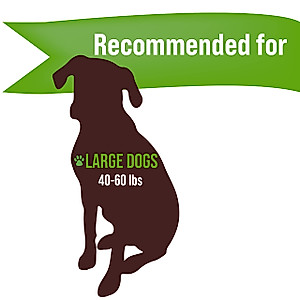 Buck Bone Organics Dog Chews, Elk Antlers for Dogs, Long Lasting Dog Bones for Aggressive Chewers, All Natural, No Preservatives, Wild Shed in The USA (Large)