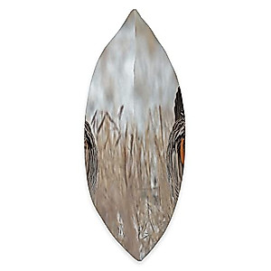 Prairie Chicken Merch Prairie Chicken Throw Pillow, 16x16, Multicolor