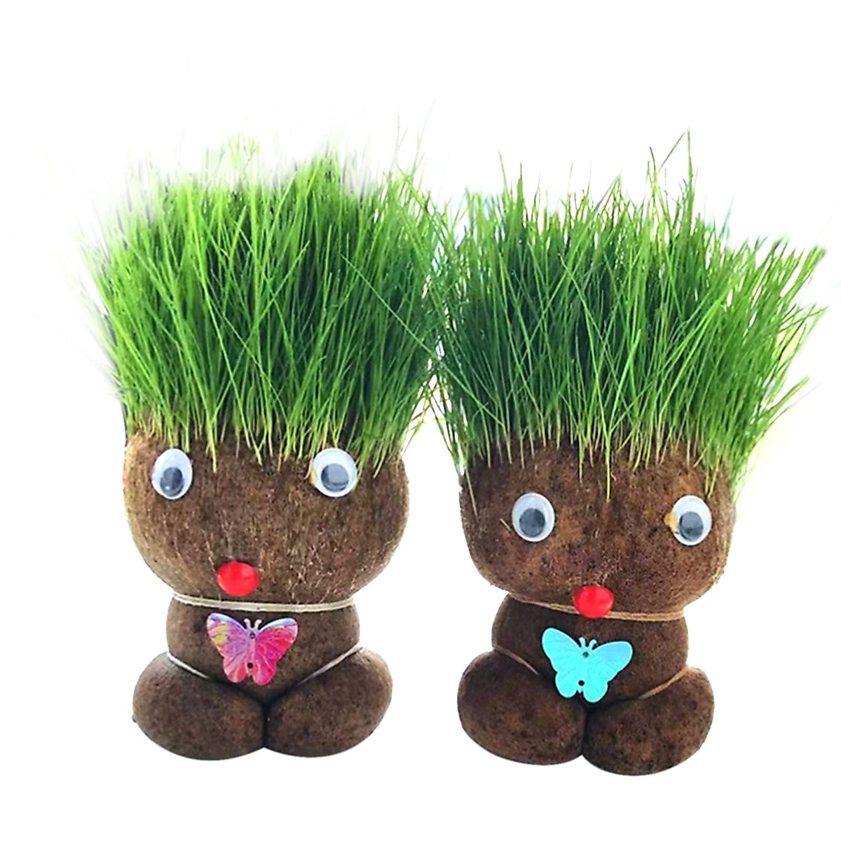kekafu 2 Pack Growing Grass Head Doll Mini Bonsai Grass Head Plants Potted Craft DIY Educational Gifts for Children Office Garden Decoration Supplies, Random Styles
