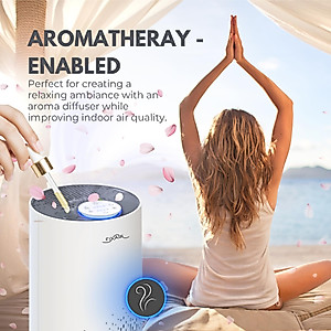 FIXAIR portable air purifier for home H13 true HEPA, air cleaner for smoke, for large room, office, bedroom, pets, odors, pollen, dander, dorm room, with essential oil diffuser and sleep mode.