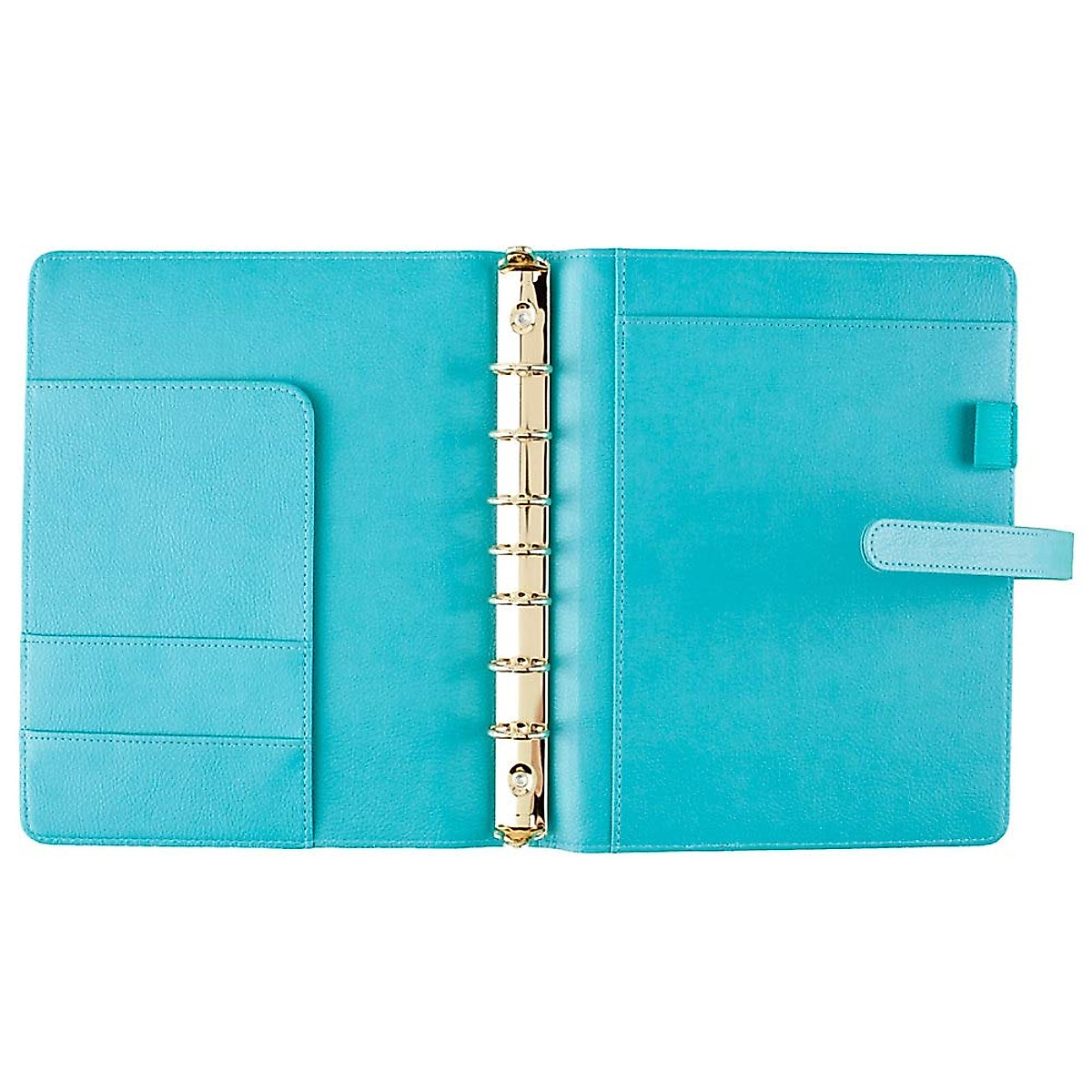 AT-A-GLANCE, Undated, 5-1/2" x 8-1/2", Desk Size, 7-Ring, Faux Leather Fashion, Teal (DR1118-040-42)