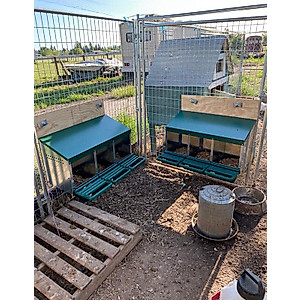 Homestead Essentials 3 Compartment Roll Out Nesting Box for Chickens | Heavy Duty Chicken Coop Nesting Box with Lid Cover to Protect Eggs (with Perch) | for Up to 15 Hens