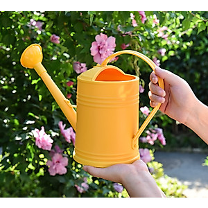OKREK Watering Can Indoor Watering Cans for House Plants, Small Watering Can Indoor Plants, Plant Watering Can for Outdoor Plants Garden Flower (1/2 Gallon, Red)