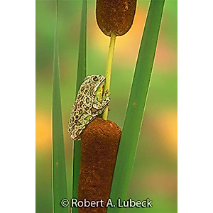 Sierra Club Engagement Calendar 2021