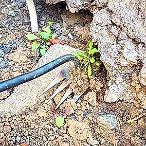 2023 New Weeding Artifact Uprooting Weeding Tool, Manganese Steel Forged Weed Puller 4 Teeth Dual Purpose Weeder, High Strength Hand Remover Tool for Garden (B)