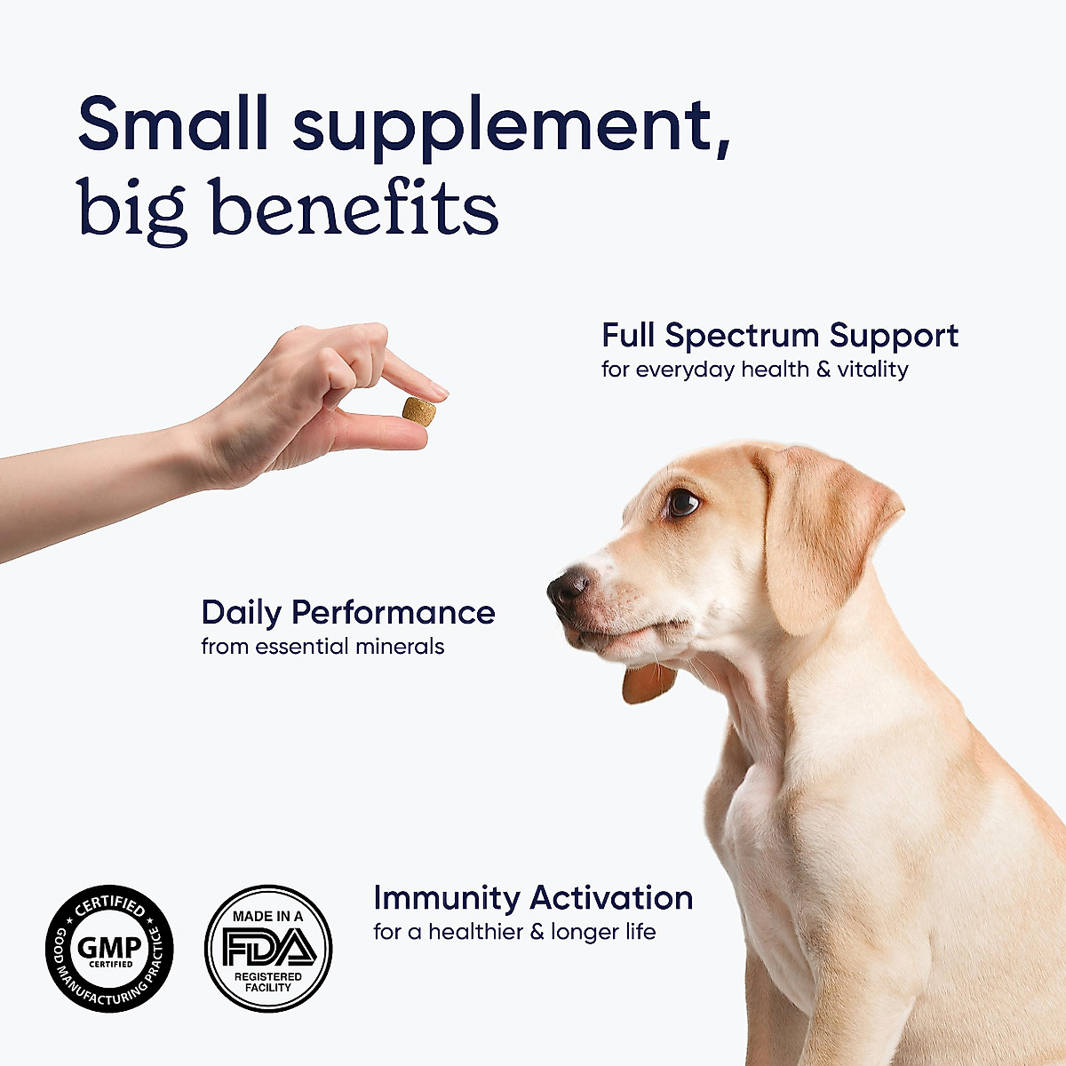 Willo All-in-1 Multifunctional Supplements for Dogs - with Glucosamine, Omega 3's, Essential Vitamins | Joint Support, Gut & Immune Health, Skin & Coat, Heart Health | 90 Soft Chews