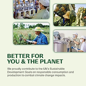 Fuwa3e Pineapple Enzyme Natural Dish Soap Tropical Pineapple Scent - 16.9oz 1 Pack - 99% Plant Based Dish Soap Liquid - Hypoallergenic Dish Soap from Discarded Pineapple Peels