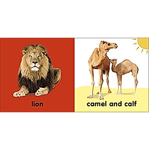 Baby Touch and Feel: Bible Animals