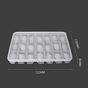 BESTonZON Dumpling Storage Box, Food Storage Containers with Lids, Reusable 21 Grid Dumpling Box Bins Holder with Lids for Refrigerator, Good Sealing Stackable Food Containers for Kitchen and Fridge