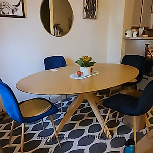 Springfavor Blue Velvet Dining Chairs Set of 4 Kitchen & Dining Room Chairs with Sturdy Metal Legs Upholstered Mid Century Modern Dining Chairs for Living Room/Kitchen/Bedroom