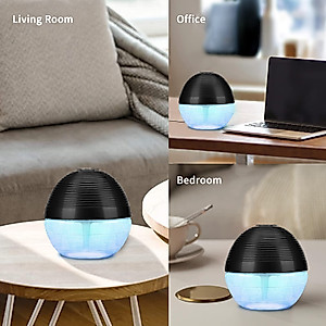 ap airpleasure Water-Based Purifier Air Washer, Air Revitalizer & Freshener, Air Fresher with 6 Colorful lights for Rooms (Black)