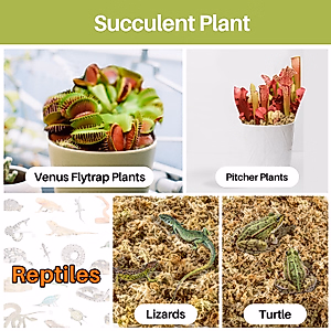 Sukh 5oz Sphagnum Moss for Plants - Sphagnum Peat Moss Natural Long Fibered Dried Moss Potting for Orchids Succulent Carnivorous Potted Plant Reptiles Medium Sarracenia DIY Moss Terrarium Decorations