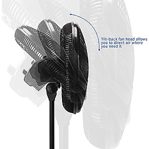 Lasko 18 in. Adjustable Elegance and Performance Pedestal Fan, Black 18"/Black
