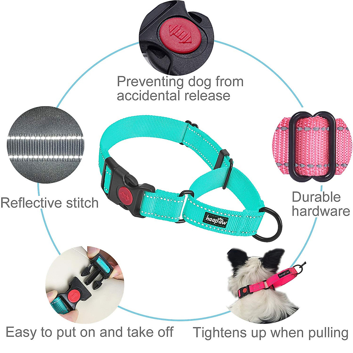 haapaw 2 Packs Martingale Dog Collar with Quick Release Buckle Reflective Dog Training Collars for Small Medium Large Dogs