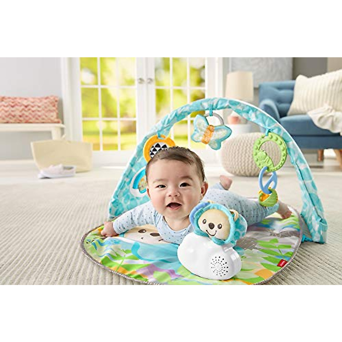 Fisher-Price Butterfly Dreams Musical Playtime Gym [Amazon Exclusive]