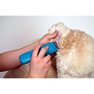 Andis 73515 Pulse Li 5 Cord/Cordless Grooming Clipper for Dogs, Cats and Equine, Teal