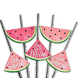 Big Dot of Happiness Sweet Watermelon - Paper Straw Decor - Fruit Party Striped Decorative Straws - Set of 24