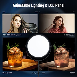NEEWER Round Panel Video Light 2.4G & DMX Control, 24" 120W Bi Color Studio Edge Flapjack Lighting with Bag & 2.4G Remote(No Battery), Soft LED Fill Light for Portrait Photography Streaming, NL-500ARC