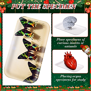 EBOOT 100 Pcs Foam Meat Trays White Foam Crafts Trays Bulk Disposable Food Plates Rectangle Painting Dish for Halloween Christmas Printmaking DIY Art Supplies, 8.3 x 4.4 x 0.55 Inches