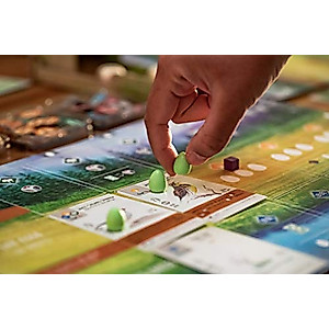 Stonemaier Games STM910 Wingspan with Swift Start Pack, Multi-colored