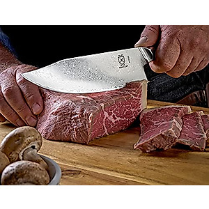 Mercer Culinary M13795 Premium Grade Super Steel, 8-Inch The Hunter Chef's Knife, G10 Handle