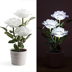 Solar Pot LED Light Rose Table Lamp 3 Lights LED Flexible Desk Lamp for Room Decoration (White)