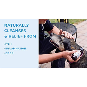 PetSilver Ear Wash Flush, Patented Chelated Silver Formula - Superior to Colloidal Silver, Cat and Dog Ear Cleaner and Treatment, Soothe and Clean Itchy and Inflamed Ears, Easy to Use, USA Made, 8 oz.