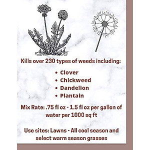 Ike's Dandelion Destroyer | Lawn Weed Killer | Kills Weeds Not Grass | Three-Way Herbicide (32 oz (Quart))