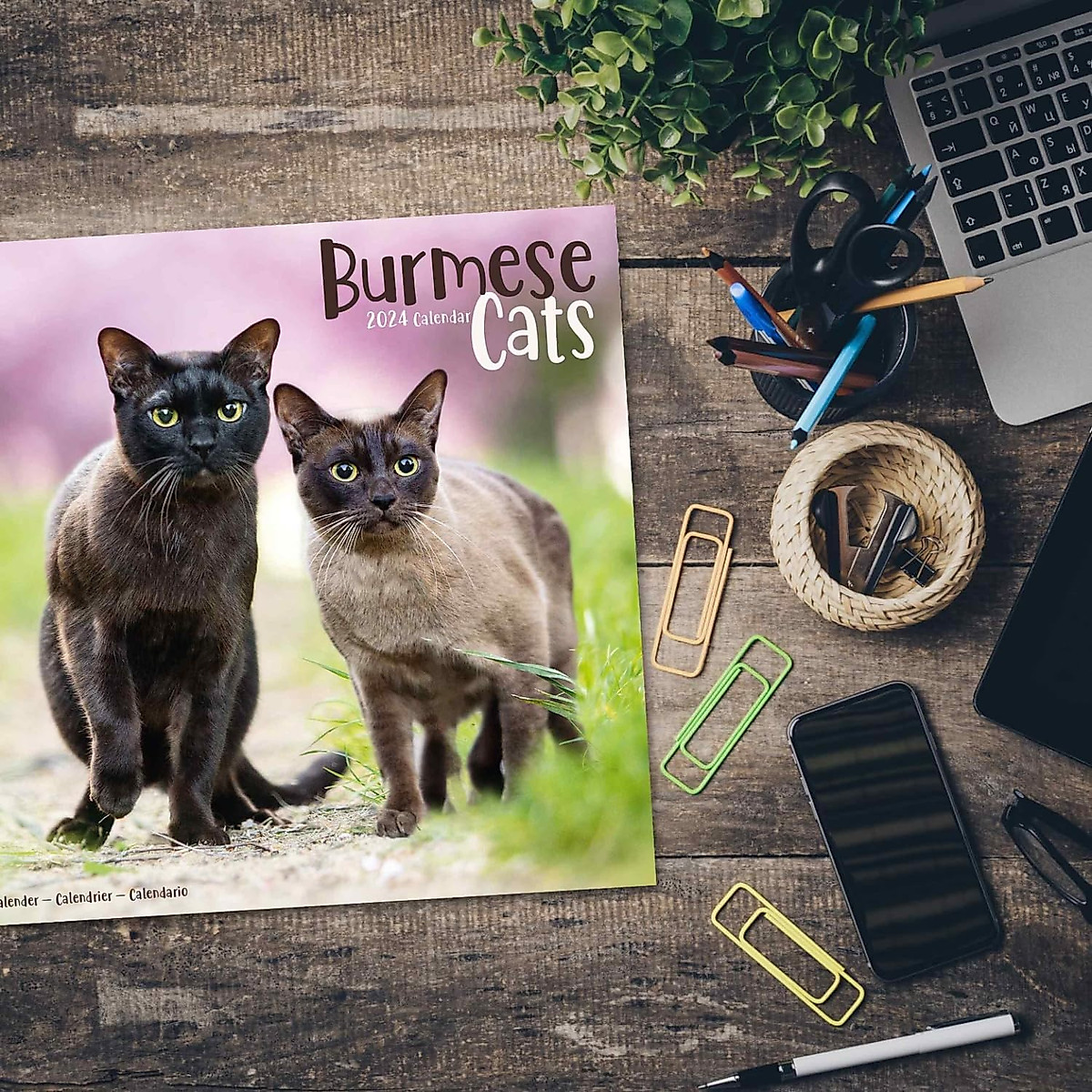 2023 2024 Burmese Cats Calendar - Cute Animal Monthly Wall Calendar - 12 x 24 Open - Thick No-Bleed Paper - Giftable - Academic Teacher's Planner Calendar Organizing & Planning
