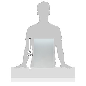 Hammermill Cardstock, Premium Color Copy, 80 lb, 11 x 17-1 Pack (250 Sheets) - 100 Bright, Made in the USA Card Stock, 120037R , White