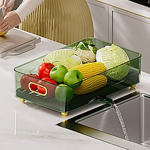 ENTERLIFE Plastic Dish Drying Rack for Kitchen Counter Rustproof Removable Cutlery Holder, Sink Organizer Dish Rack Drainboard ，Multifunctional Vegetable and Fruit Drain Rack（Clear）