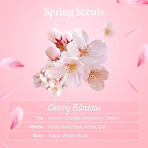 KUNDAL Natural Hair Shampoo Set [Cherry Blossom Scent] Ultimate Damage Hair Repair Strengthen, Nourish dry, with Honey, Argan Oil, Macadamia Oil, Free Paraben & Sulfate 600ml(20.3 Fl Oz)