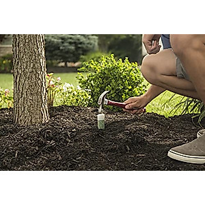 Miracle-Gro Fertilizer Spikes for Fruit and Citrus Trees, 12-Pack (Not Sold in Pinellas County, FL)