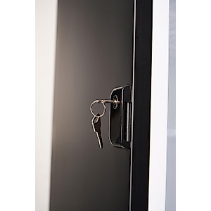 PremiumLevella Glass Door Display Refrigerator 10.0 cu ft Commercial Beverage Cooler Merchandiser With Sleek LED Light Strip