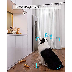 eufy Security, 2K Indoor Cam Pan & Tilt 2-Cam Kit, Plug-in Security Indoor Camera with Wi-Fi, IP Camera, Human & Pet AI, Voice Assistant CompatibilityHomeBase Not Required (Renewed)