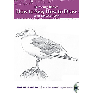 Drawing Basics, How to See, How to Draw with Claudia Nice