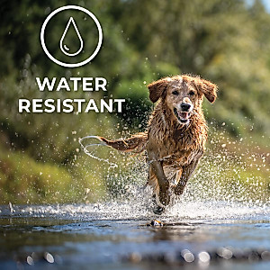 ACTIVPHY Hip + Joint Mobility Collar for Dogs with Glucosamine, Chondroitin, MSM, and More | Convenient & Easy | 30 Days of Continuous Support | Water Resistant (Small)