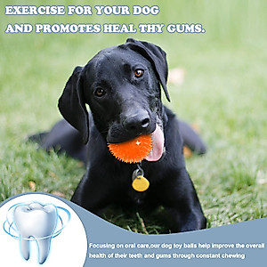 12Pack Squeaky Dog Toys,2.5" Spiky Dog Ball,Dog Spiky Ball Cleans Teeth Pet Toys,Squeaky Dog Balls for Aggressive Chewers,TPR Rubber Puppy Toys,Bright Color Dog Chew Toys for Small Medium & Large Dogs