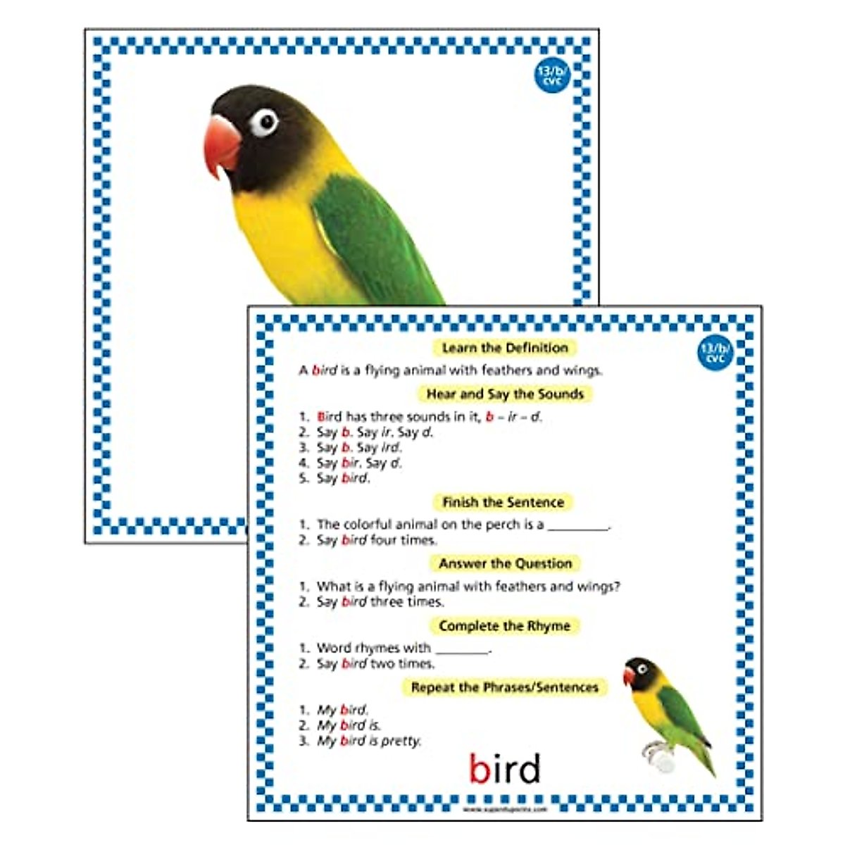 Super Duper Publications | Webber® Big Apraxia Photo Cards | Organized Words by Syllable for Ease of Speech Production | Vowels and Consonants | Basic Syllable Shapes | Activities with Instructions