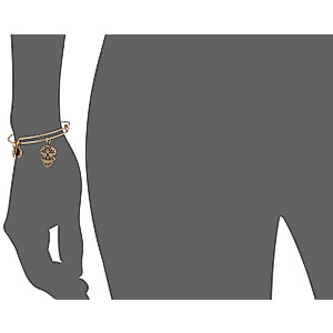 Alex and Ani Calavera Rafaelian Gold Bangle Bracelet