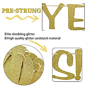 Holy Shit We've Lasted 10 Years Banner, 10th Wedding Anniversary Party Decorations, Funny Decor for Him Her Husband Wife Parents, Pre-Strung, Gold Glitter