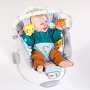 Bright Starts Comfy Baby Bouncer Soothing Vibrations Infant Seat - Taggies, Music, Removable-Toy Bar, 0-6 Months Up to 20 lbs (Whimsical Wild)