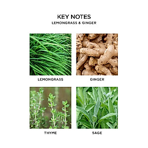 NEST Fragrances Lemongrass & Ginger Liquid Hand Soap, 10 Fl Oz