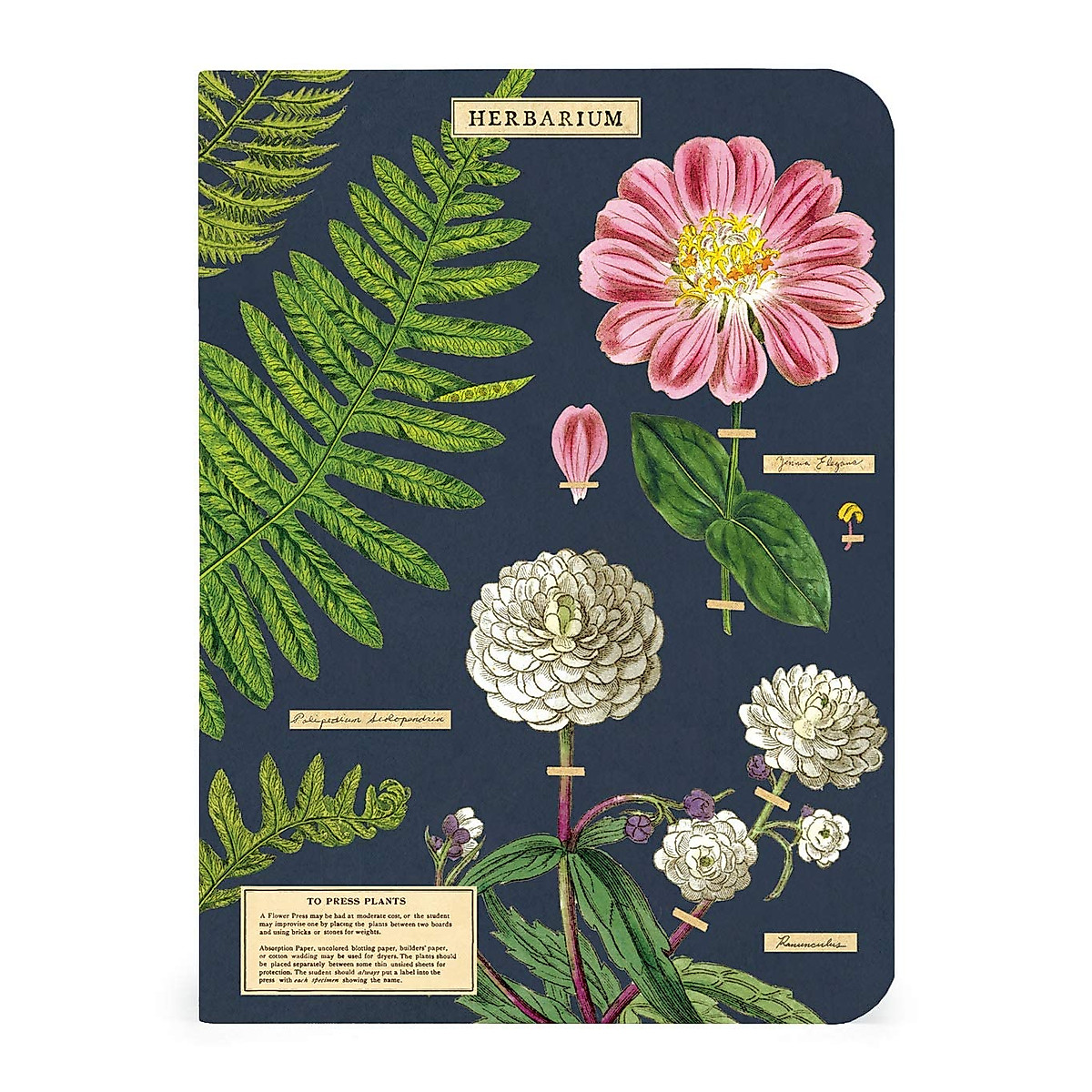 Herbarium Mini Notebooks
