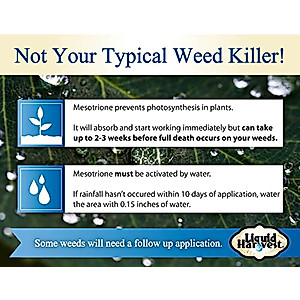 Mesotrione - 16 Ounces - (Compare to Tenacity) - Turf Herbicide