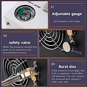 Pcp Air Compressor,4500psi 30mpa/300 Bar Automatic Stop Pump,Oil/Water Free,Powered By Car 12v Dc Or Home 110v Ac,Paintball Air Compressor,Scuba Air Compressor