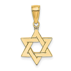 Auriga Fine Jewelry 14k Yellow Gold Polished Star of David Pendant Gift for Women