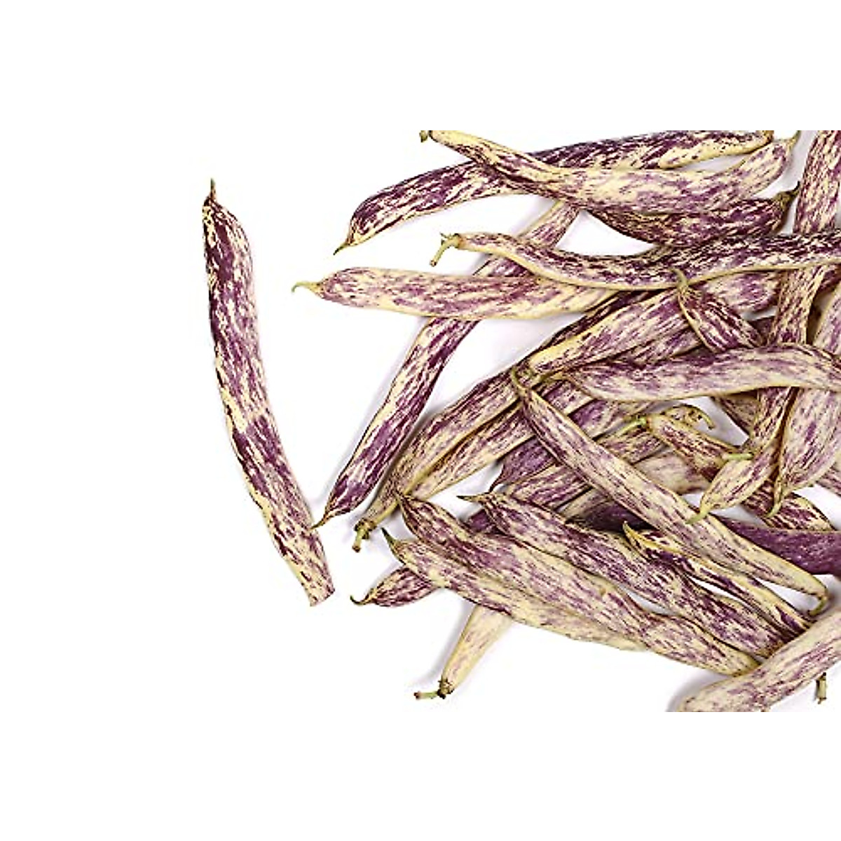 Dragon's Tongue Bush Bean Seeds for Planting, (Dragon Langerie), 25+ Heirloom Seeds Per Packet, (Isla's Garden Seeds), Non GMO Seeds, Scientific Name: Phaseolus vulgaris, Great Home Garden Gift